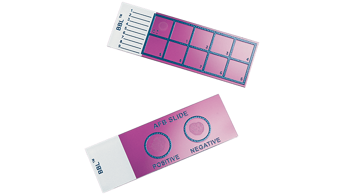 BD BBL Gram slide - 231401 | BD