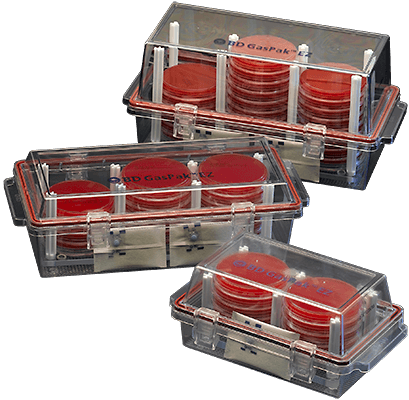 BD GasPak™ EZ container systems
