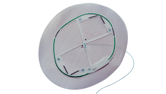 Ventralight™ ST Mesh with Echo 2™ Positioning System, Ellipse, 10 cm x ...