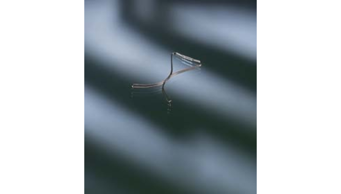 Catheter Plug, Nylon, Large - 0414L | BD